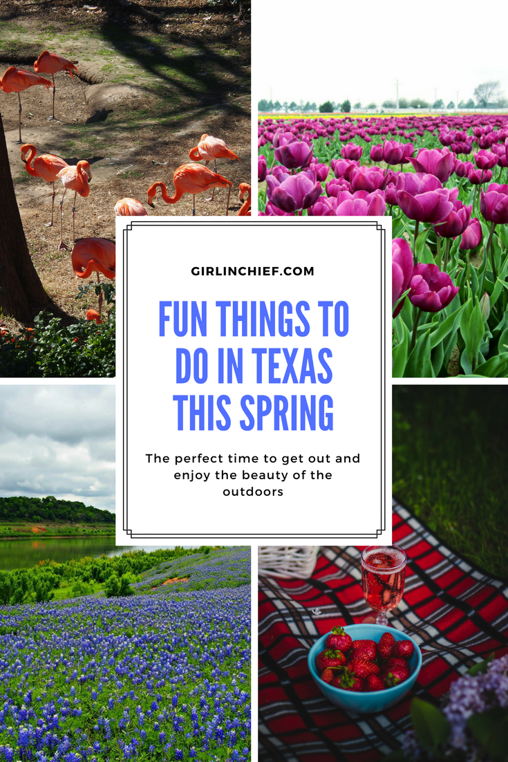 10 Fun Things To Do In Texas This Spring | Girl-in-Chief